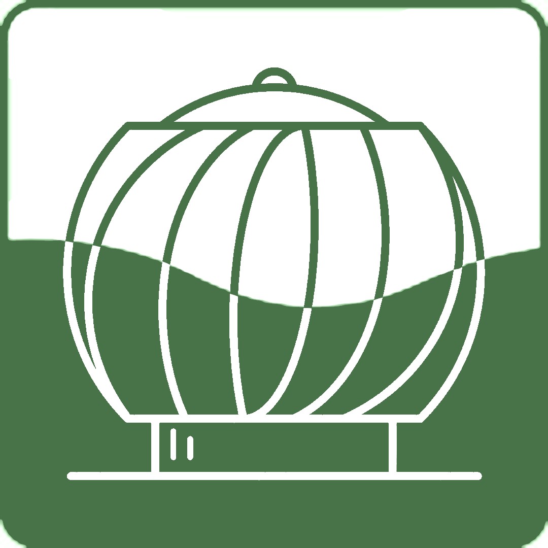 Дефлекторы вентиляционные в Кишинев | ECOSanteH